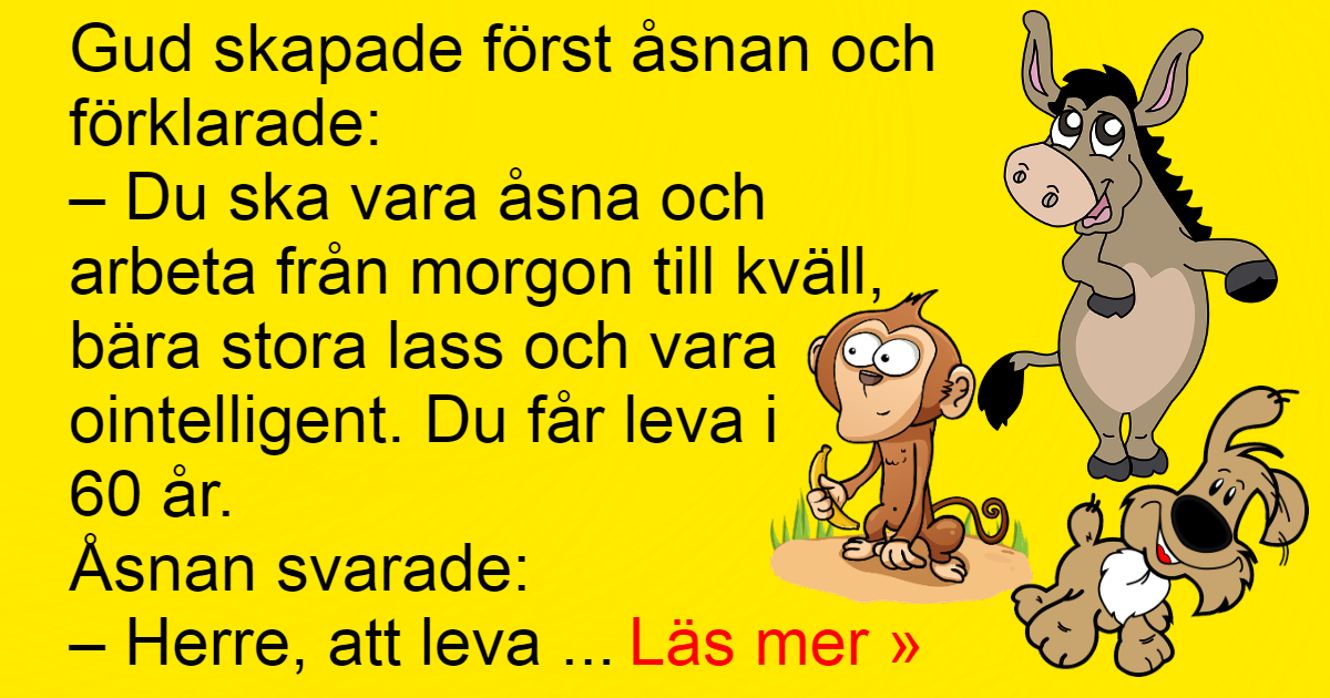 Varför är vi människor som vi är? Här är den enkla förklaringen ...