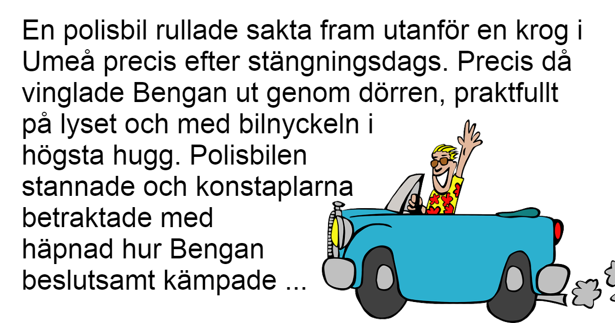 Han var kraftigt berusad och körde iväg med polisen hack i häl. Det som ...